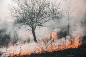 What Does White Smoke Mean In A Fire?